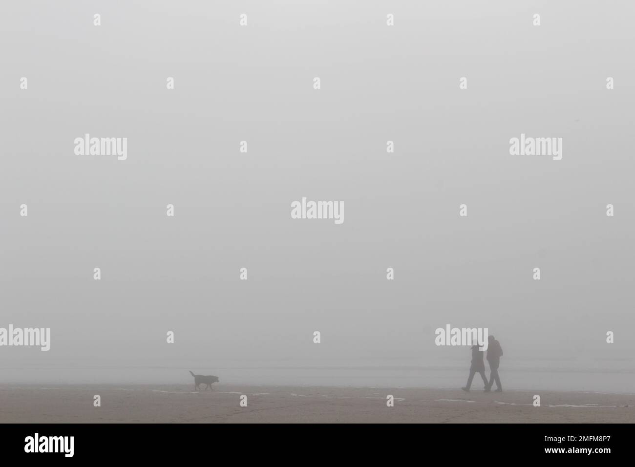 People silhouetted walking their dog on a foggy, overcast January day ...