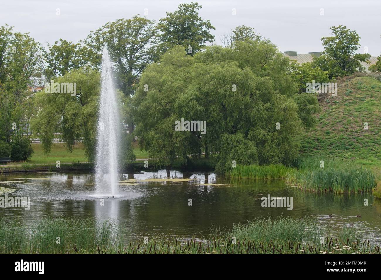 View pond trees fountain hi-res stock photography and images - Alamy