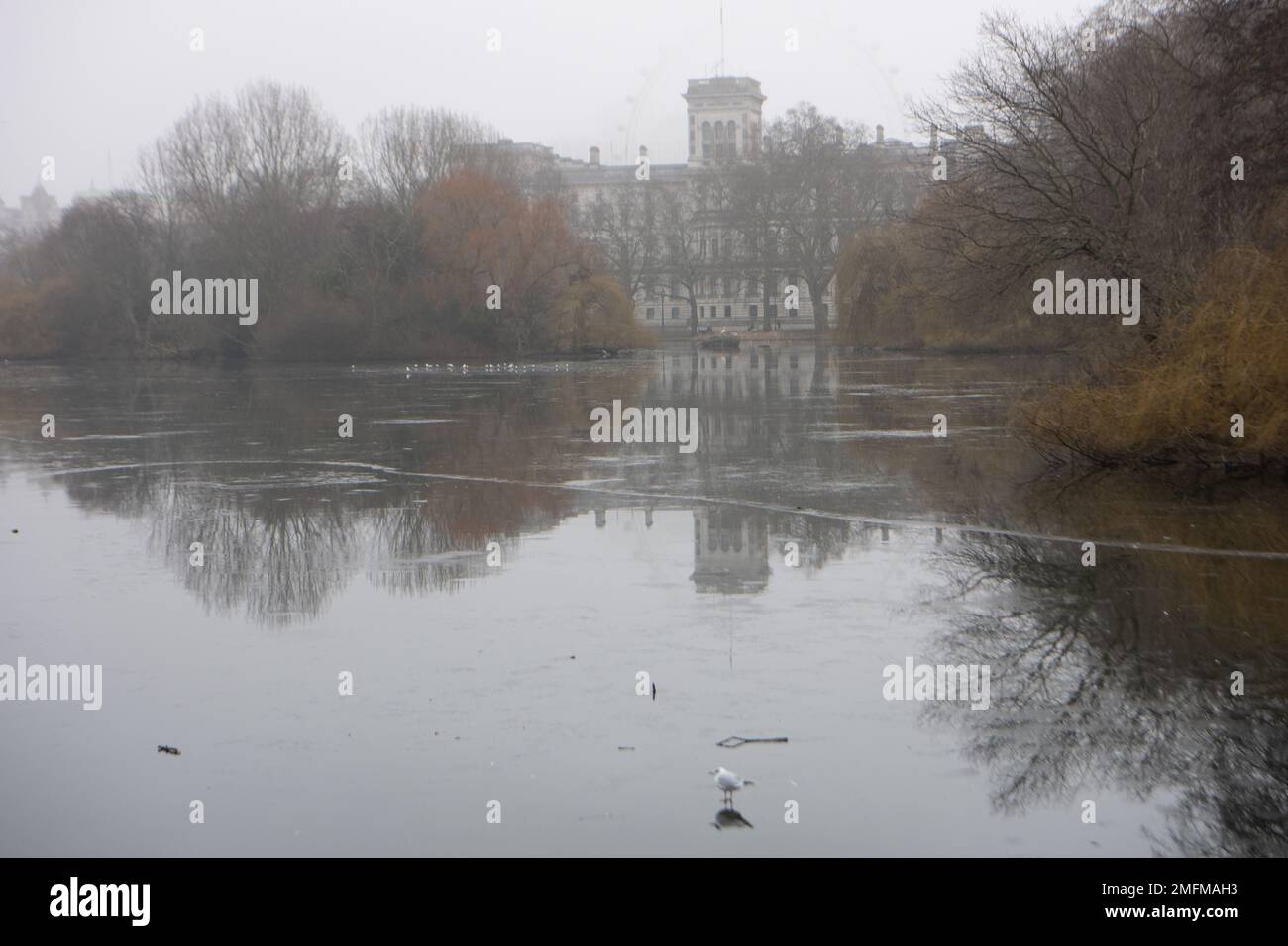 London, UK. 25th Jan, 2023. UK weather, misty morning in St James Park ...
