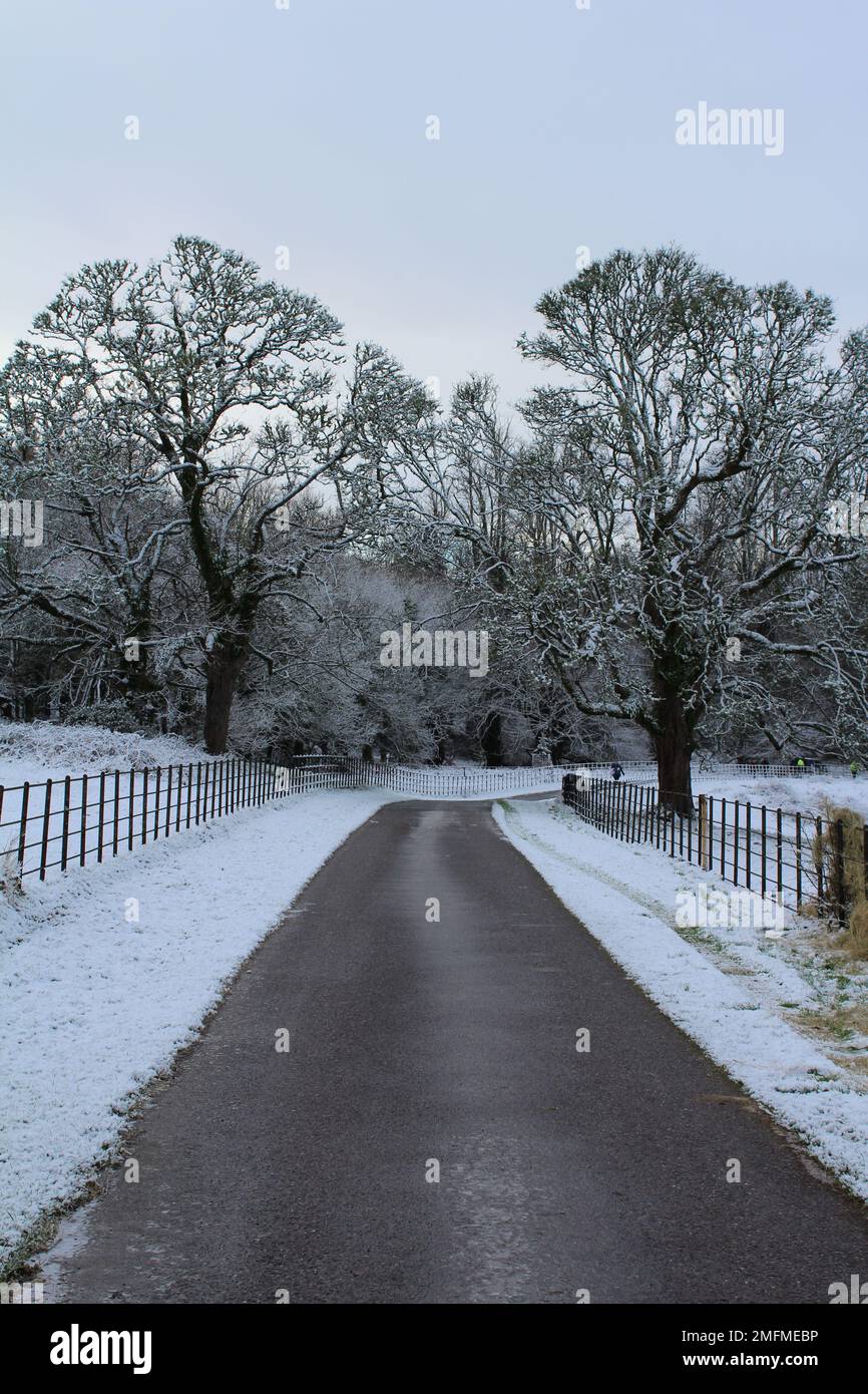 Cement path through winter wonderland. Snowy path through deciduous ...