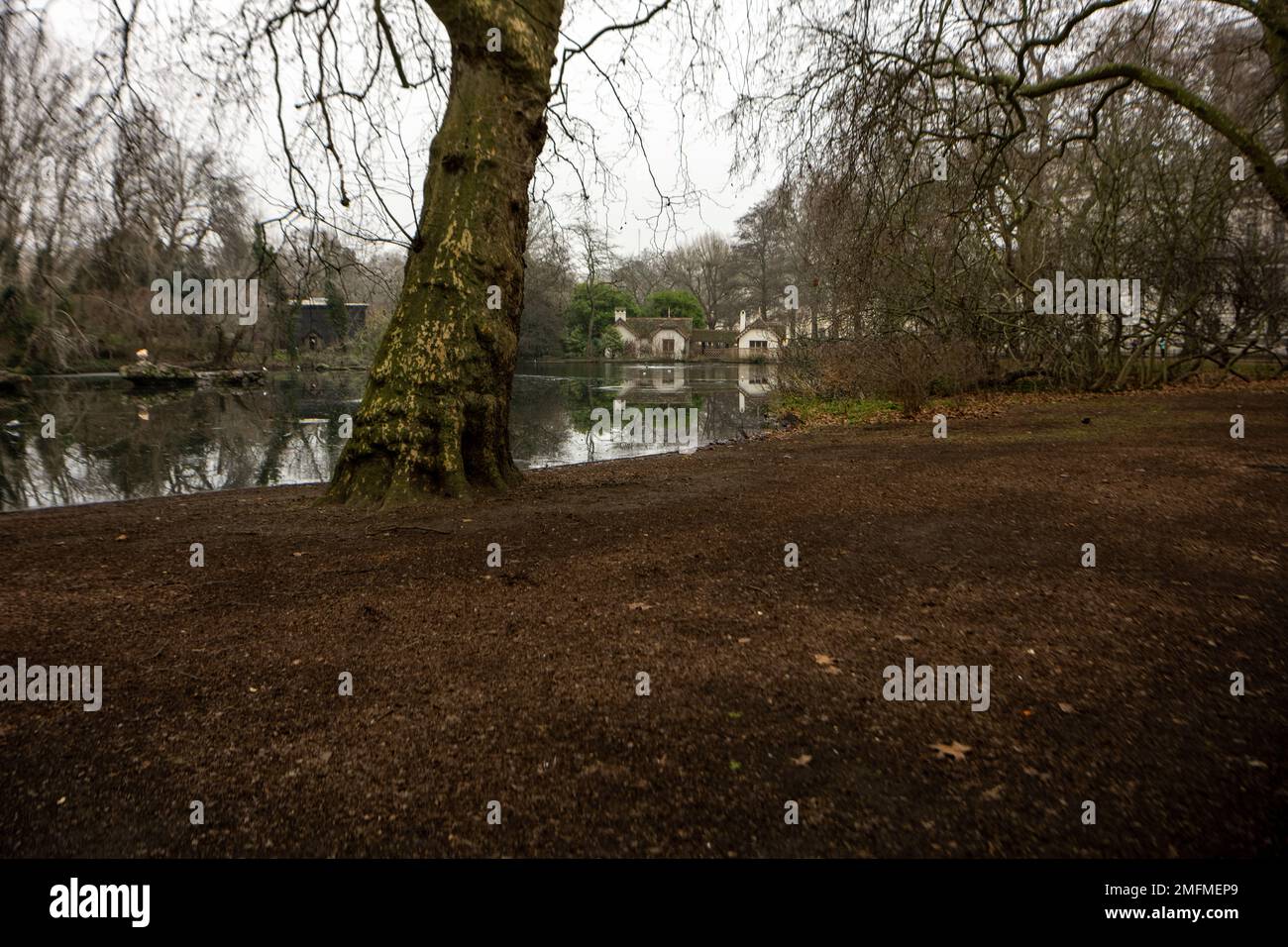 London, UK. 25th Jan, 2023. UK weather, misty morning in St James Park ...