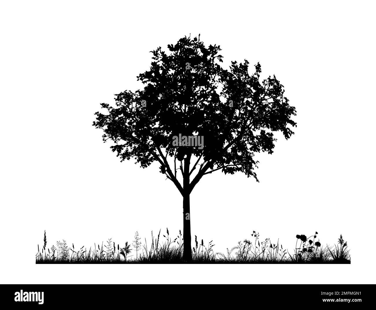 Vector silhouette of meadow on white background. Symbol of nature with ...