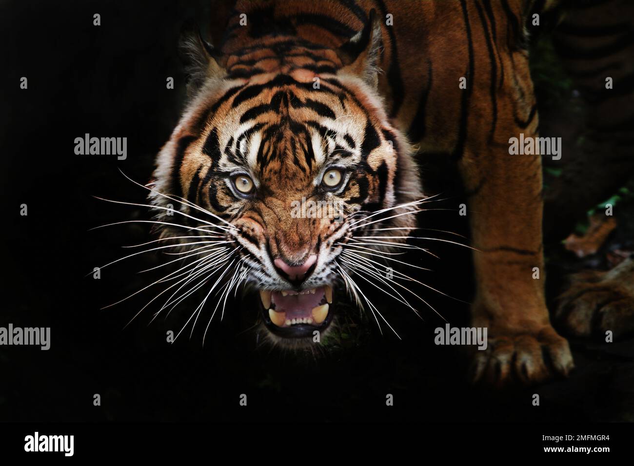 Calm down when angry hi-res stock photography and images - Alamy