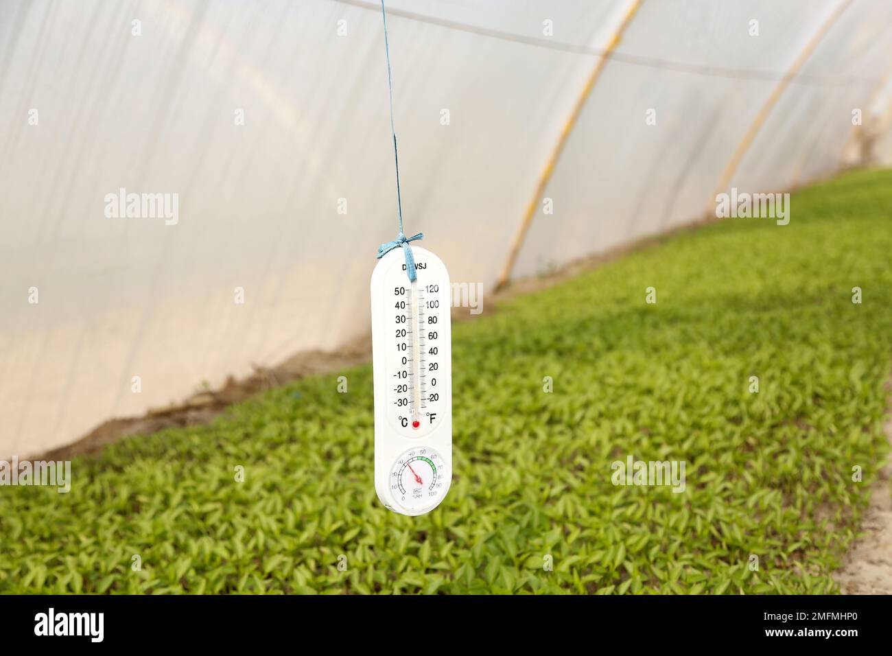 (230125) -- MULTAN, Jan. 25, 2023 (Xinhua) -- This photo taken on Jan ...