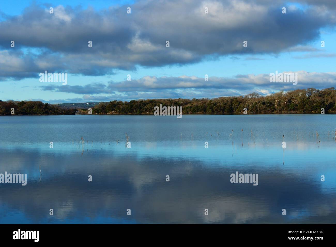 Stillness on a winters day. Intermittent clouds reflect in the still waters of Muckross Lake ...