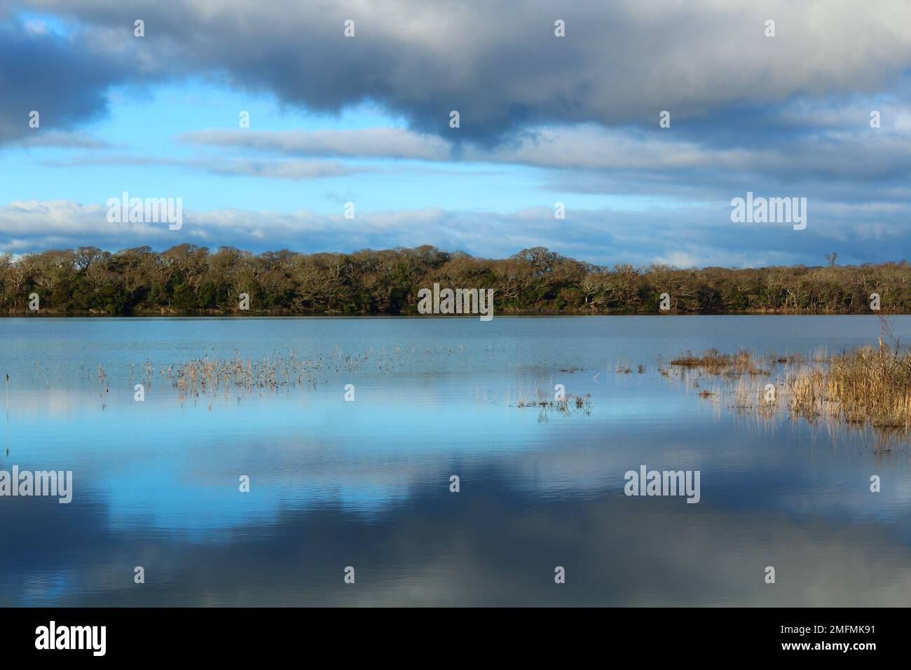 Reflections on Muckross Lake in winter - Killarney National Park ...
