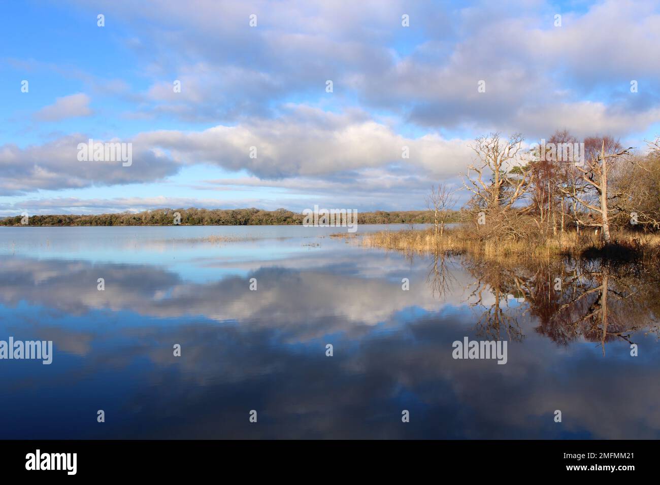 Killarney National Park in winter - Reflections on Muckross Lake ...