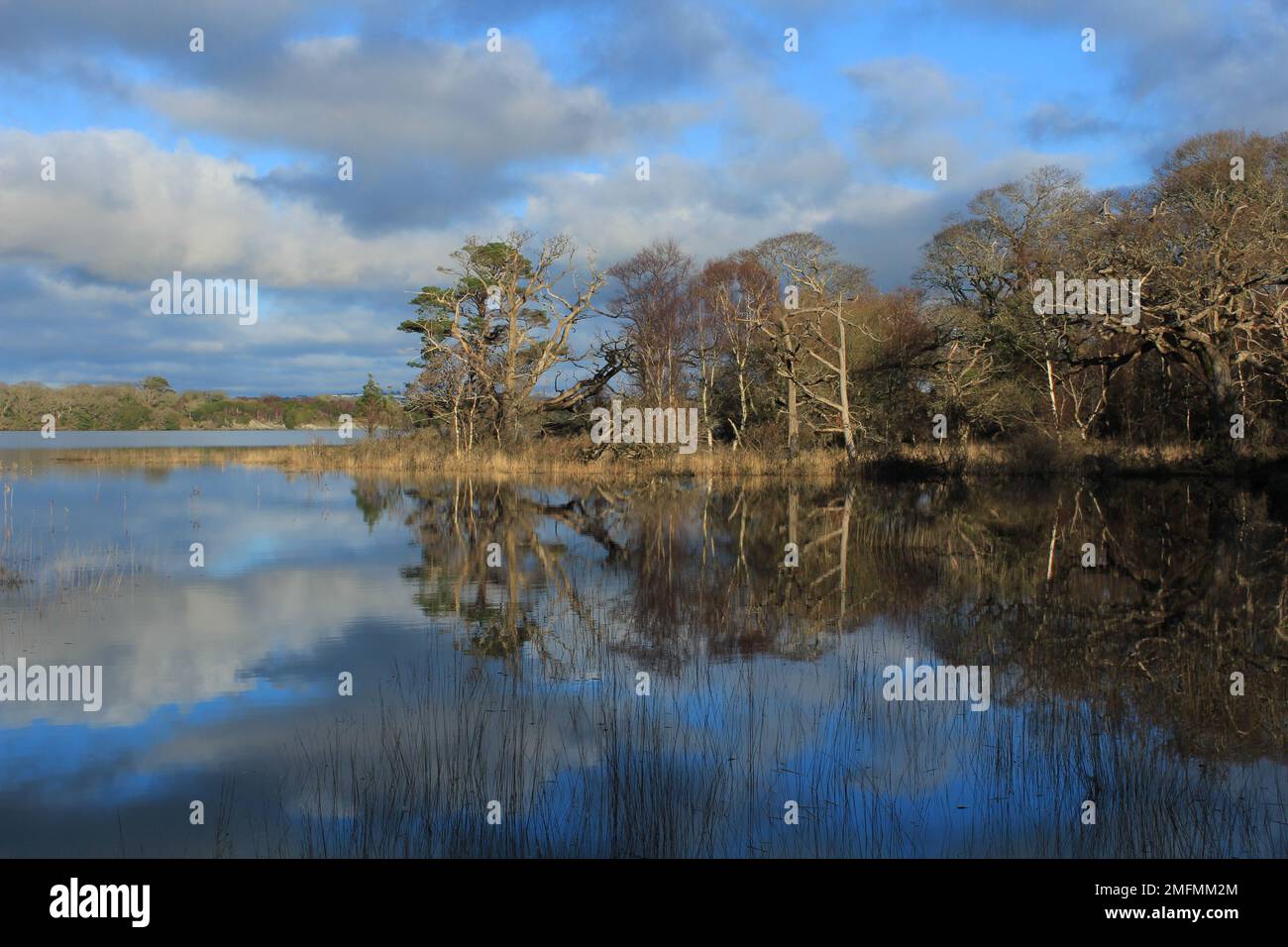 Muckross Lake background screensaver in winter. Gorgeous symmetrical ...