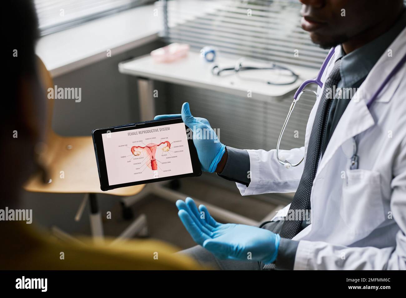 Female reproductive system hi-res stock photography and images - Alamy