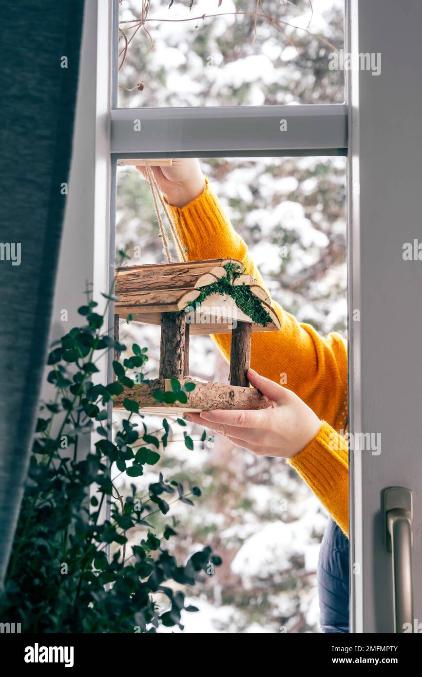 Woman hanging bird feeder tree branch hi-res stock photography and ...