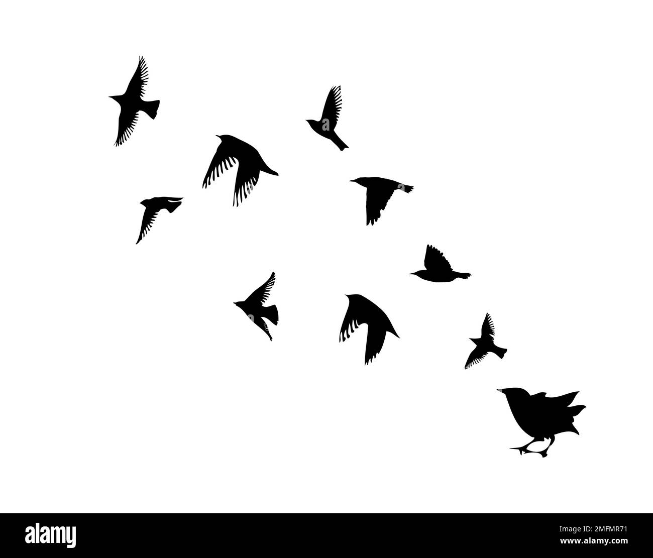 A Flock Of Flying Birds Free Birds Vector Illustration Stock Vector Image And Art Alamy