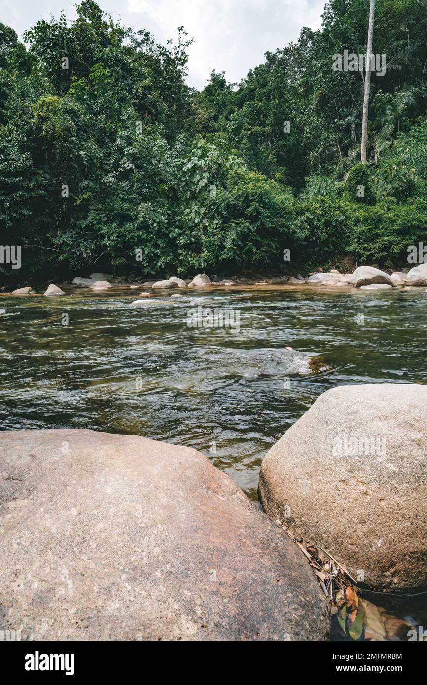 River flowing slowly at Sungai Kampar, Gopeng, Perak Stock Photo - Alamy