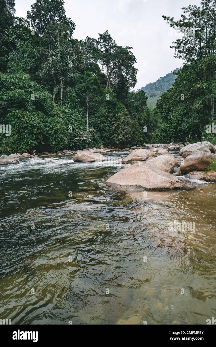 Upstream flowing river at Sungai Kampar, Gopeng, Perak Stock Photo - Alamy