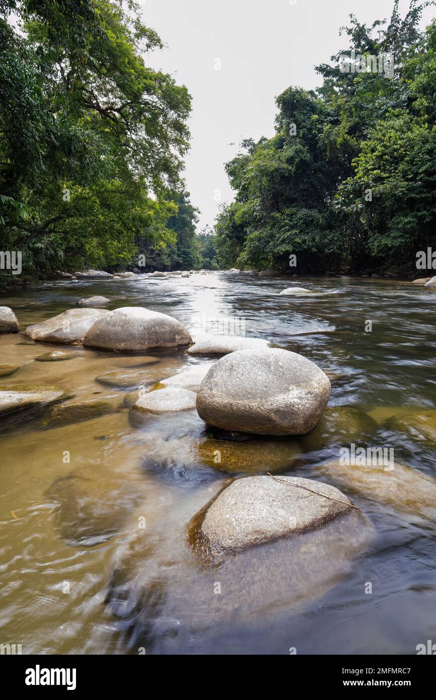 Upstream flowing river at Sungai Kampar, Gopeng, Perak Stock Photo - Alamy