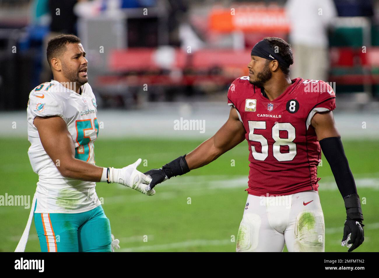 Miami Dolphins outside linebacker Kamu Grugier-Hill (51) and Miami ...