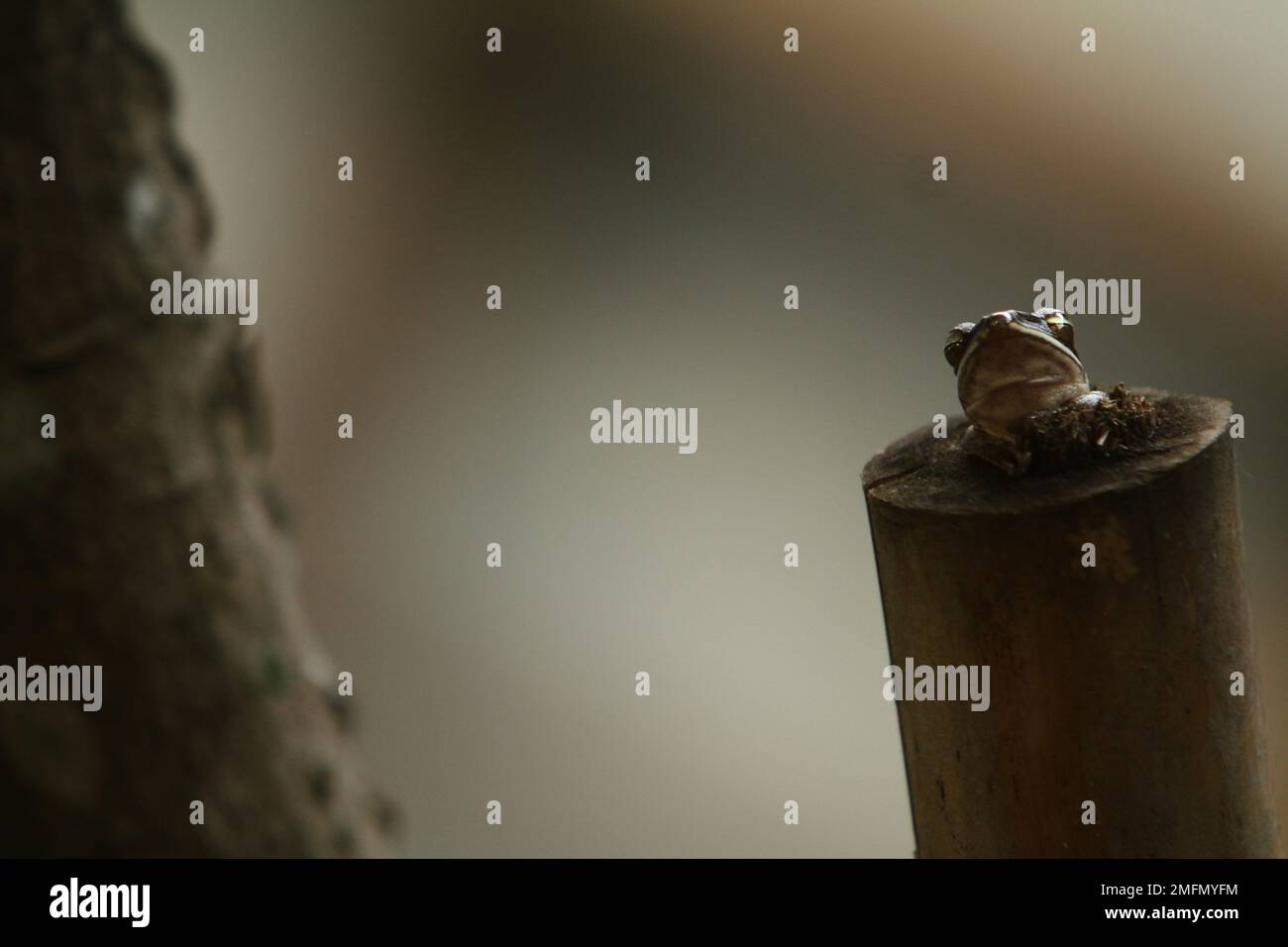 Snug hi-res stock photography and images - Alamy