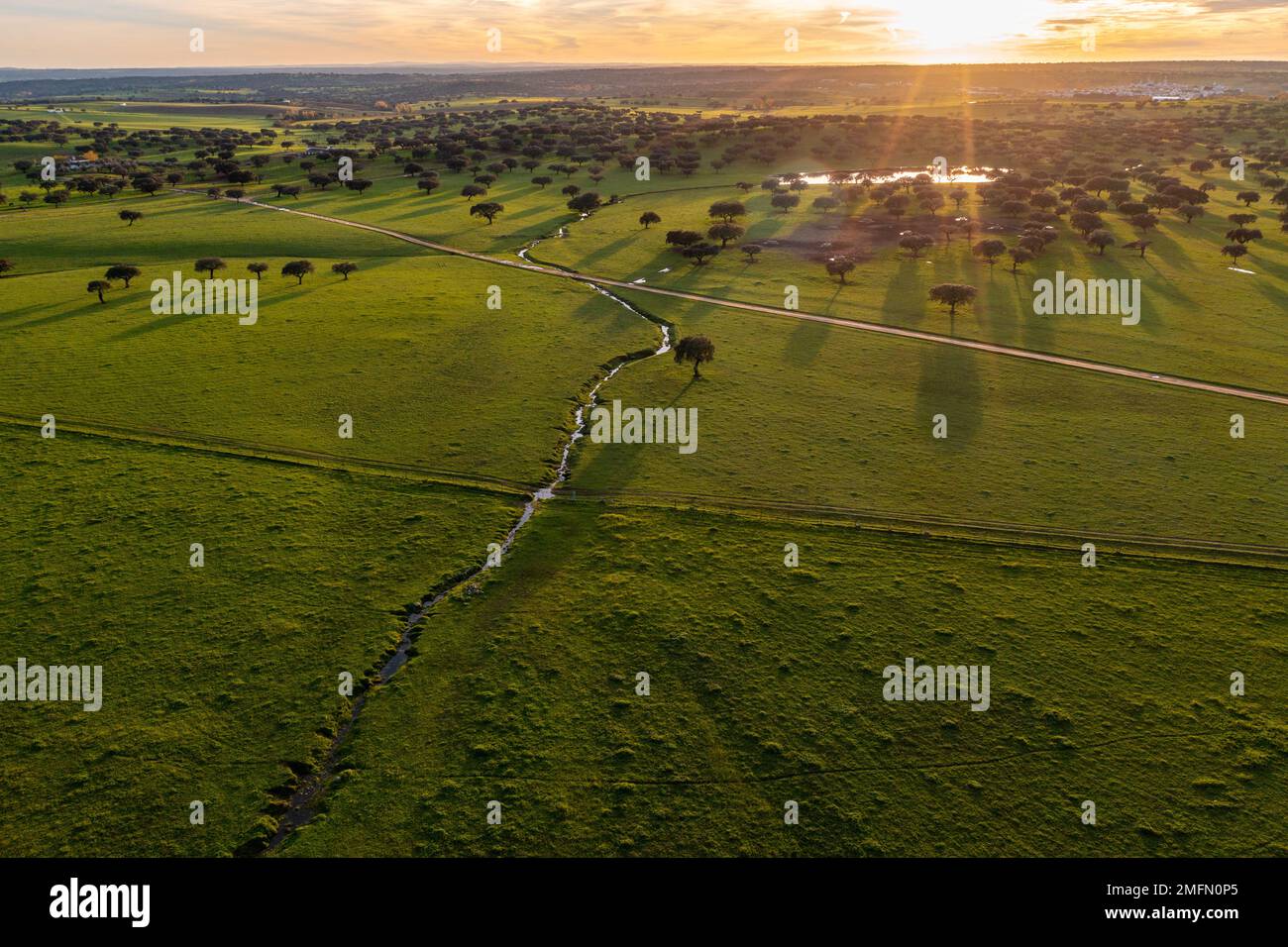 Aerial view of the countryside of the Alentejos Farm Ranches Stock ...