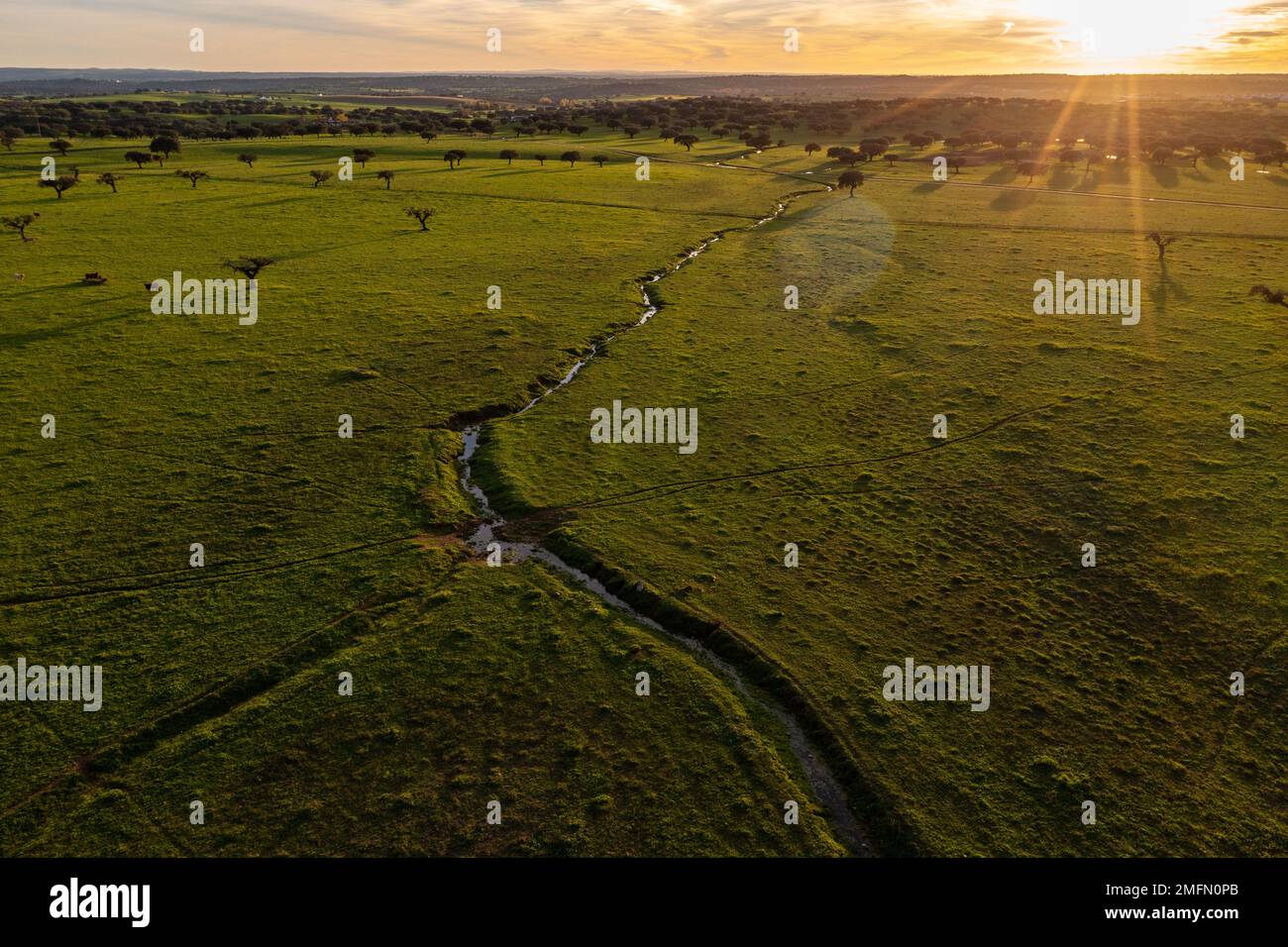 Aerial view of the countryside of the Alentejos Farm Ranches Stock ...