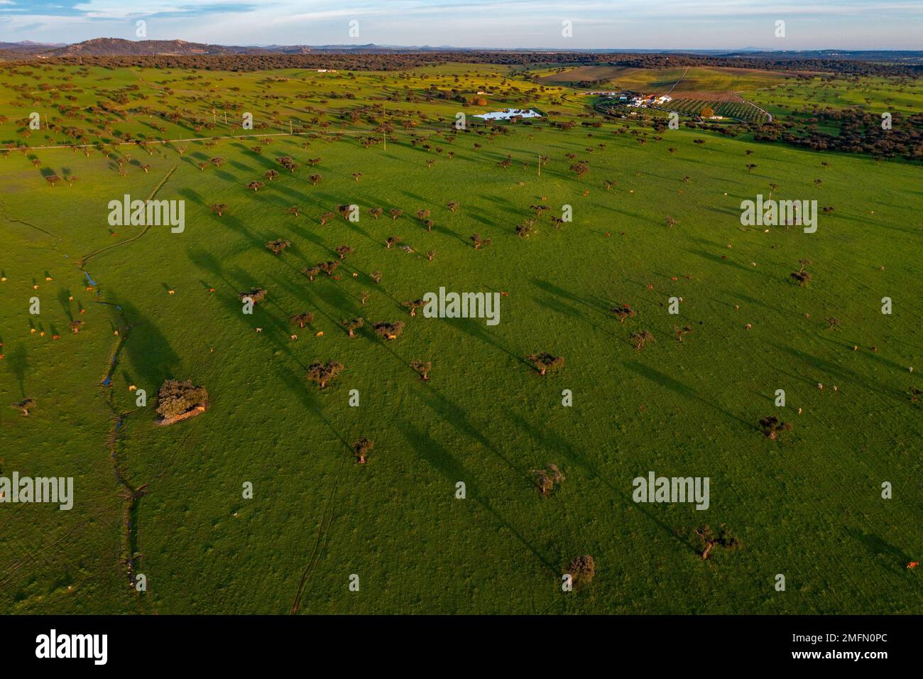 Aerial view of the countryside of the Alentejos Farm Ranches Stock ...