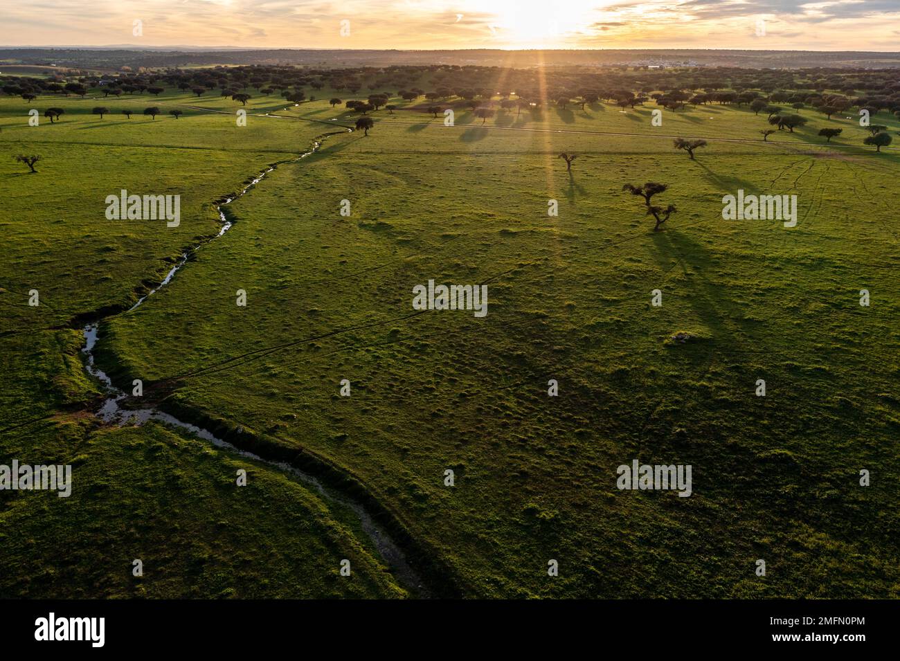 Aerial view of the countryside of the Alentejos Farm Ranches Stock ...