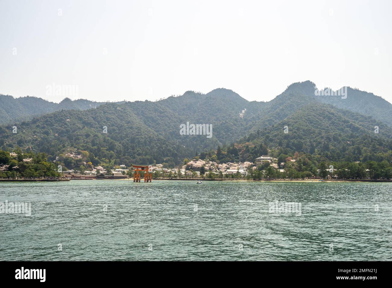 Beautiful scenic of Itsukushima shrine with green mountain behind in ...