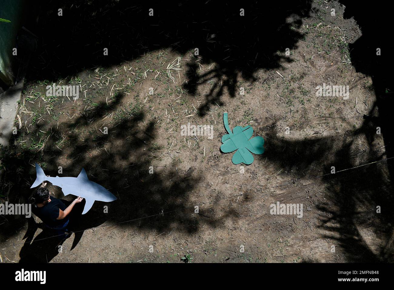 Artist Susan Applewhite carries her shark-shaped cardboard cutout to ...