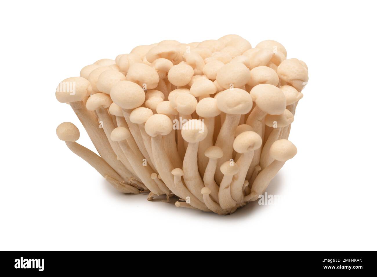 Raw white beech mushrooms isolated on a white background Stock Photo ...