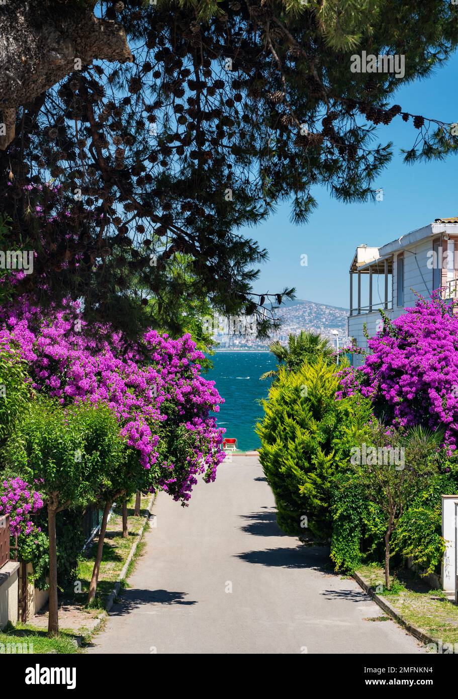 A path with beautiful blooming gardens and old house and views of the ...