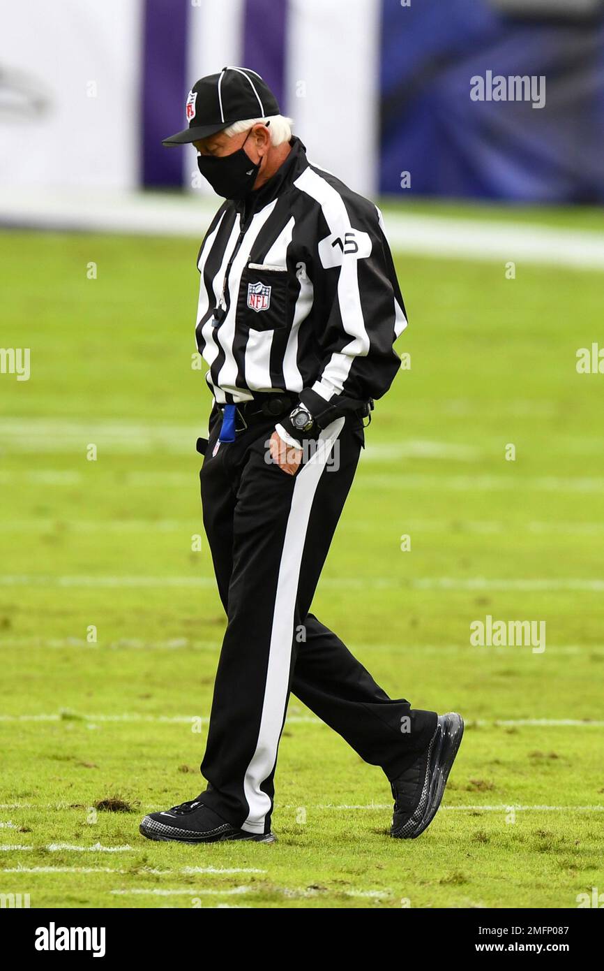 Field Judge Rick Patterson (15) during an NFL football game between the ...
