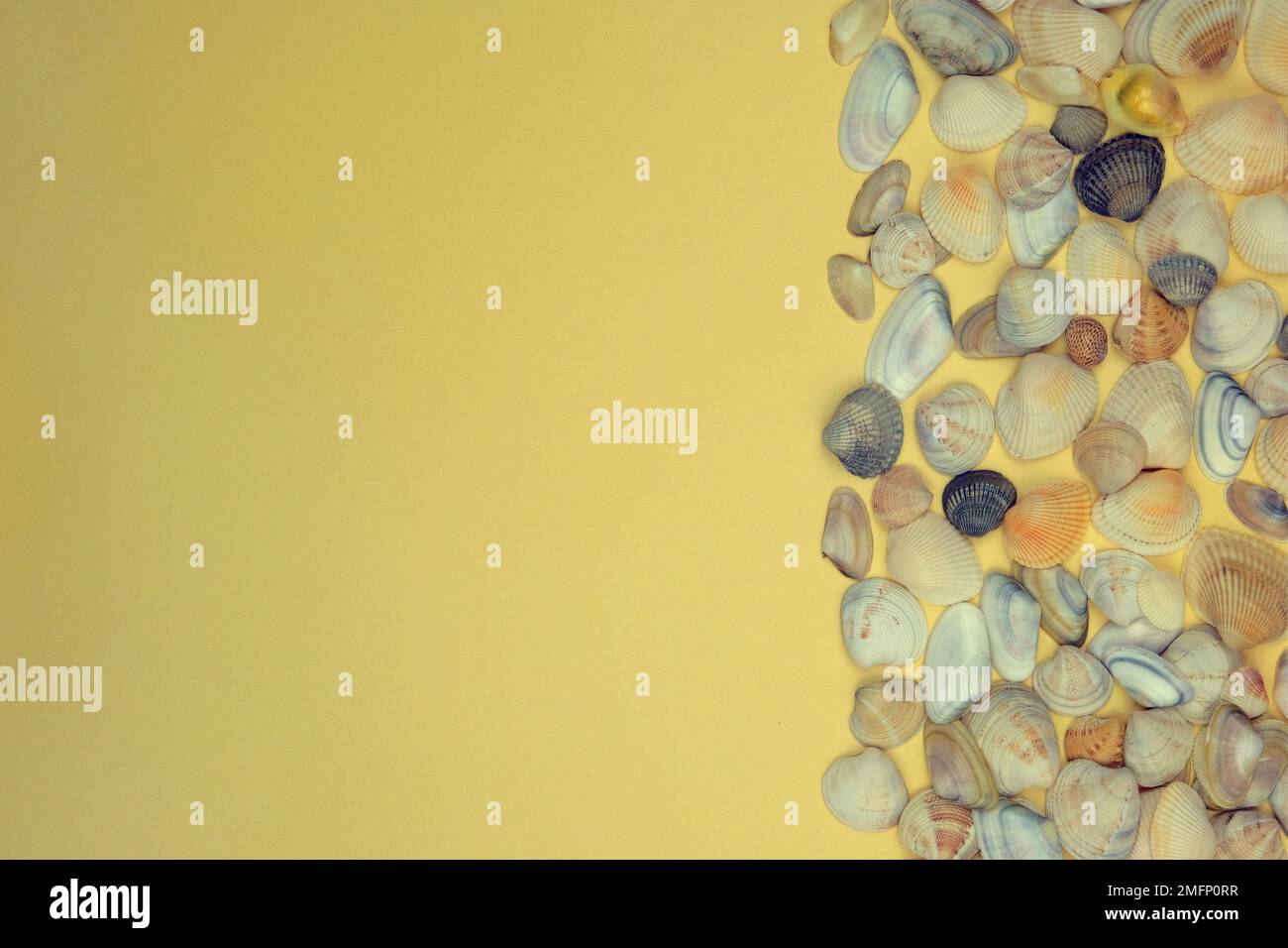 Sea shells on a yellow background. Top view. Copy space Stock Photo - Alamy