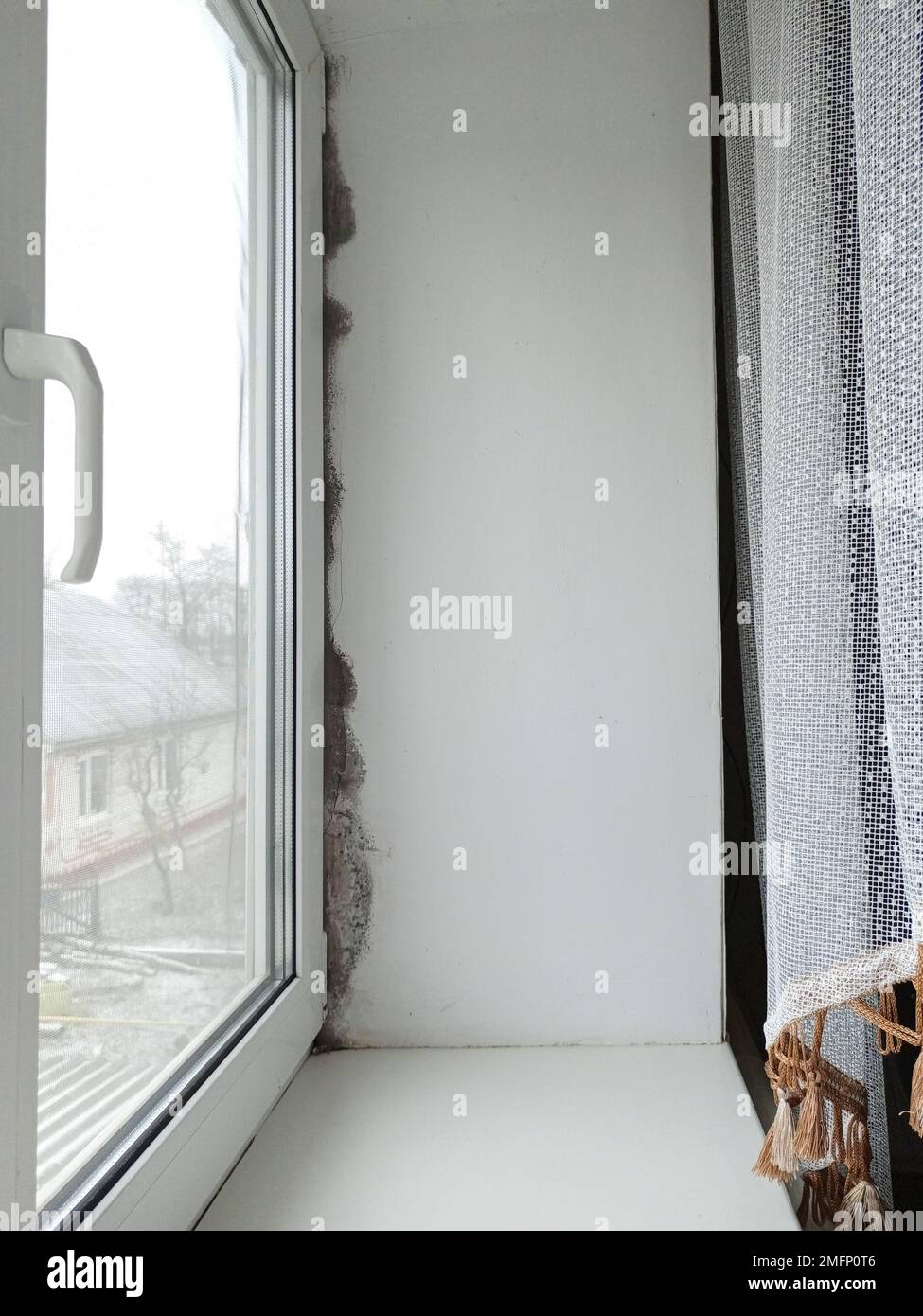 Black mould and fungus on wall near window. The problem of ventilation ...