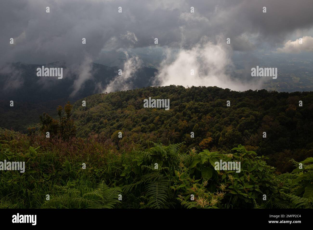 Doi inthanon mountain thailand hi-res stock photography and images - Alamy