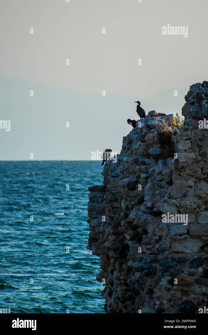 A vertical shot of birds on top of an old castle monument inside the ...