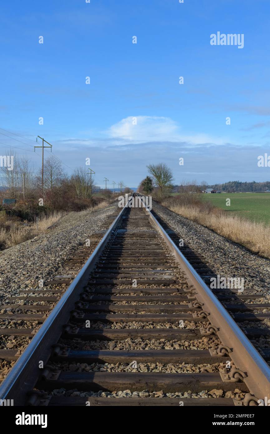 Steel railway lines converge to vanishing point on blue sky day with no ...