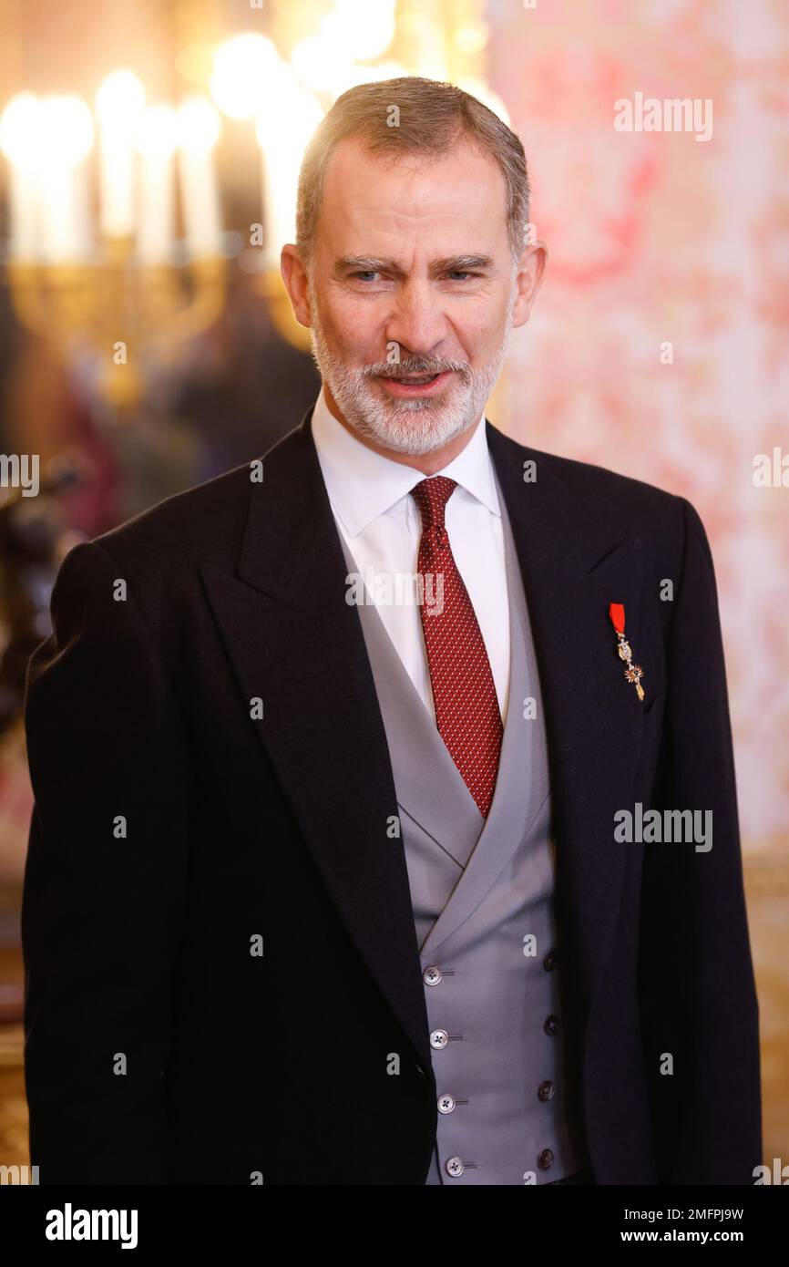 Madrid, Spain. 25th Jan, 2023. King Felipe VI of Spain receives the ...