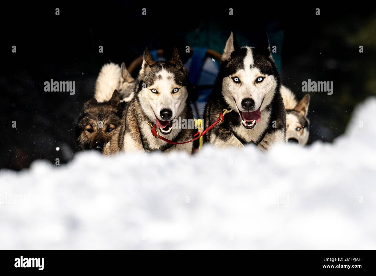 Sedivackuv long hi-res stock photography and images - Alamy