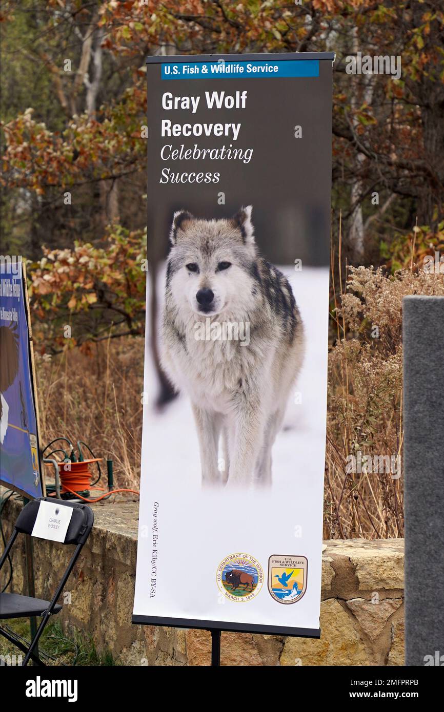 A photos of a gray wolf is displayed near the podium where Interior ...