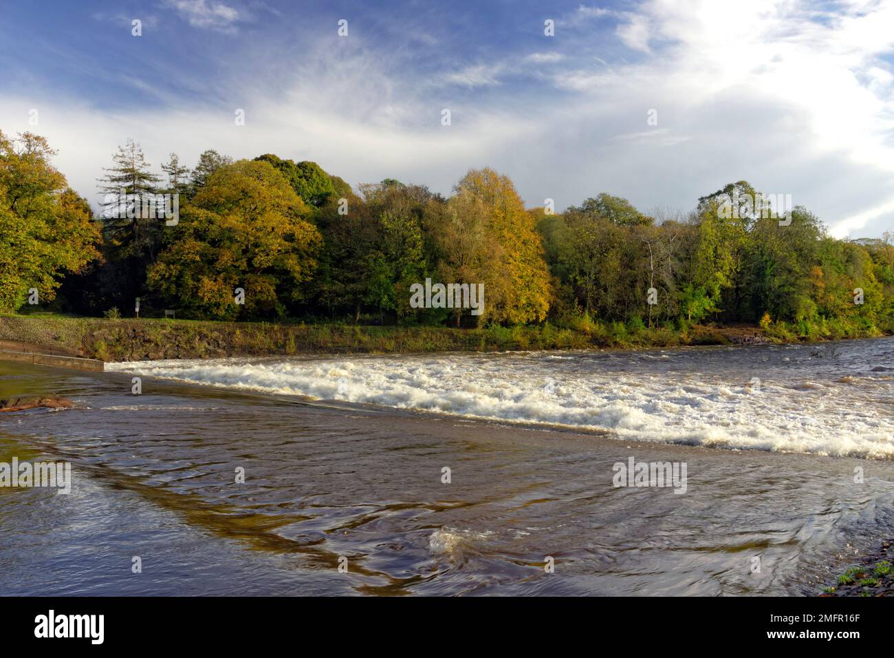 River Taff, Pontcanna Fields, Cardiff, Wales Stock Photo - Alamy