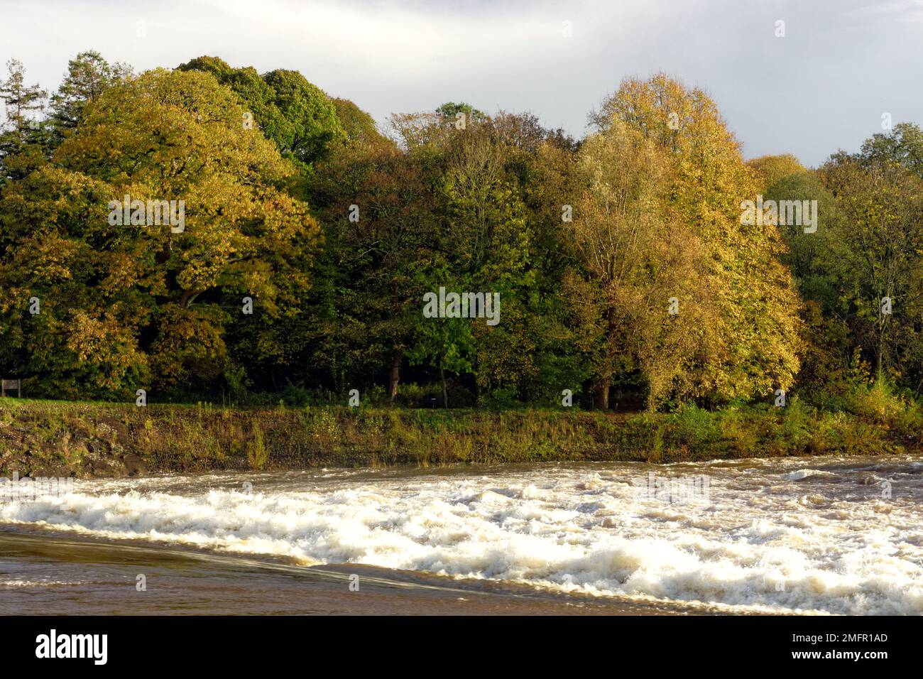 River Taff, Pontcanna Fields, Cardiff, Wales Stock Photo - Alamy