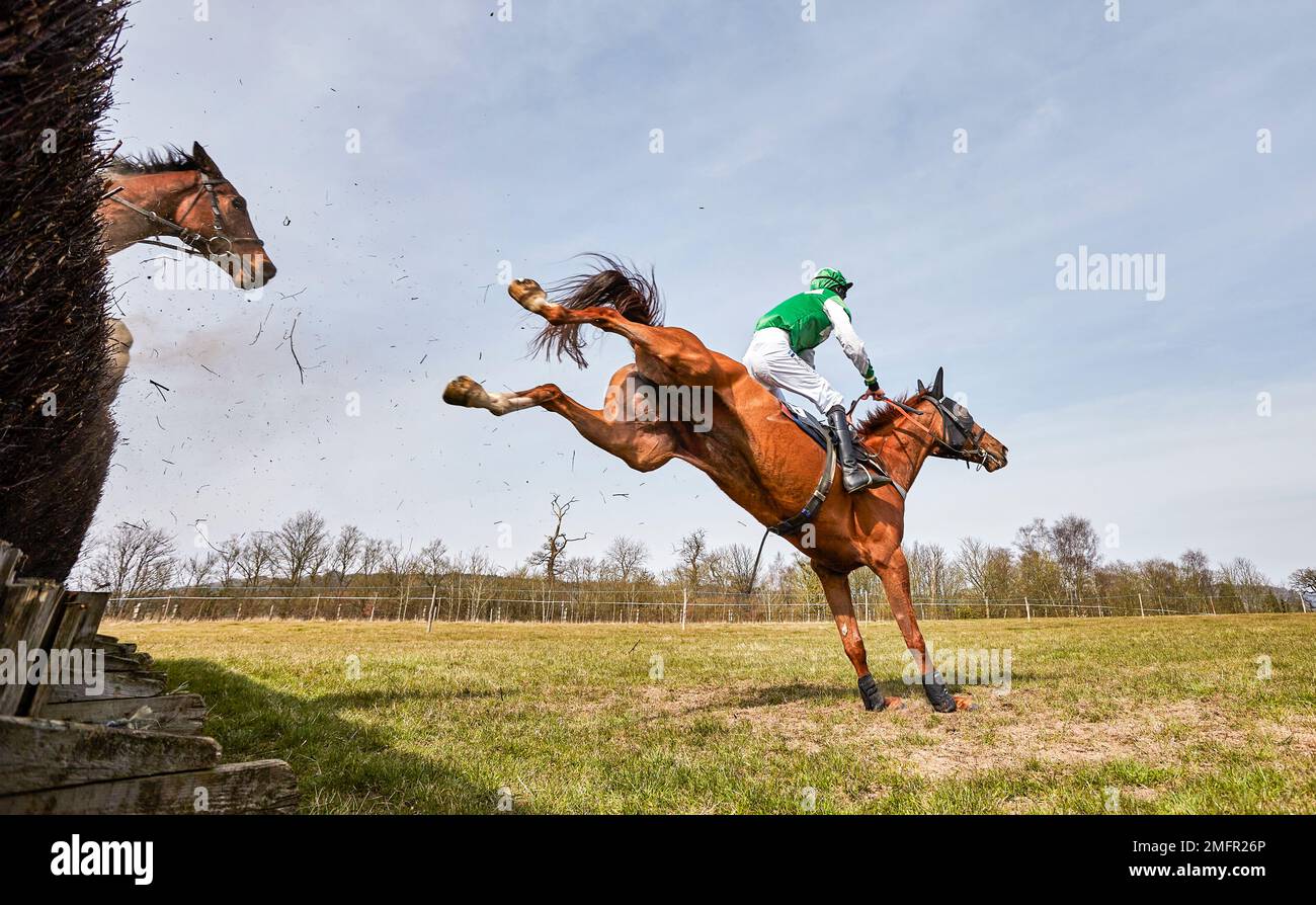 Godstone Surrey Point-to-Point horse race Stock Photo - Alamy