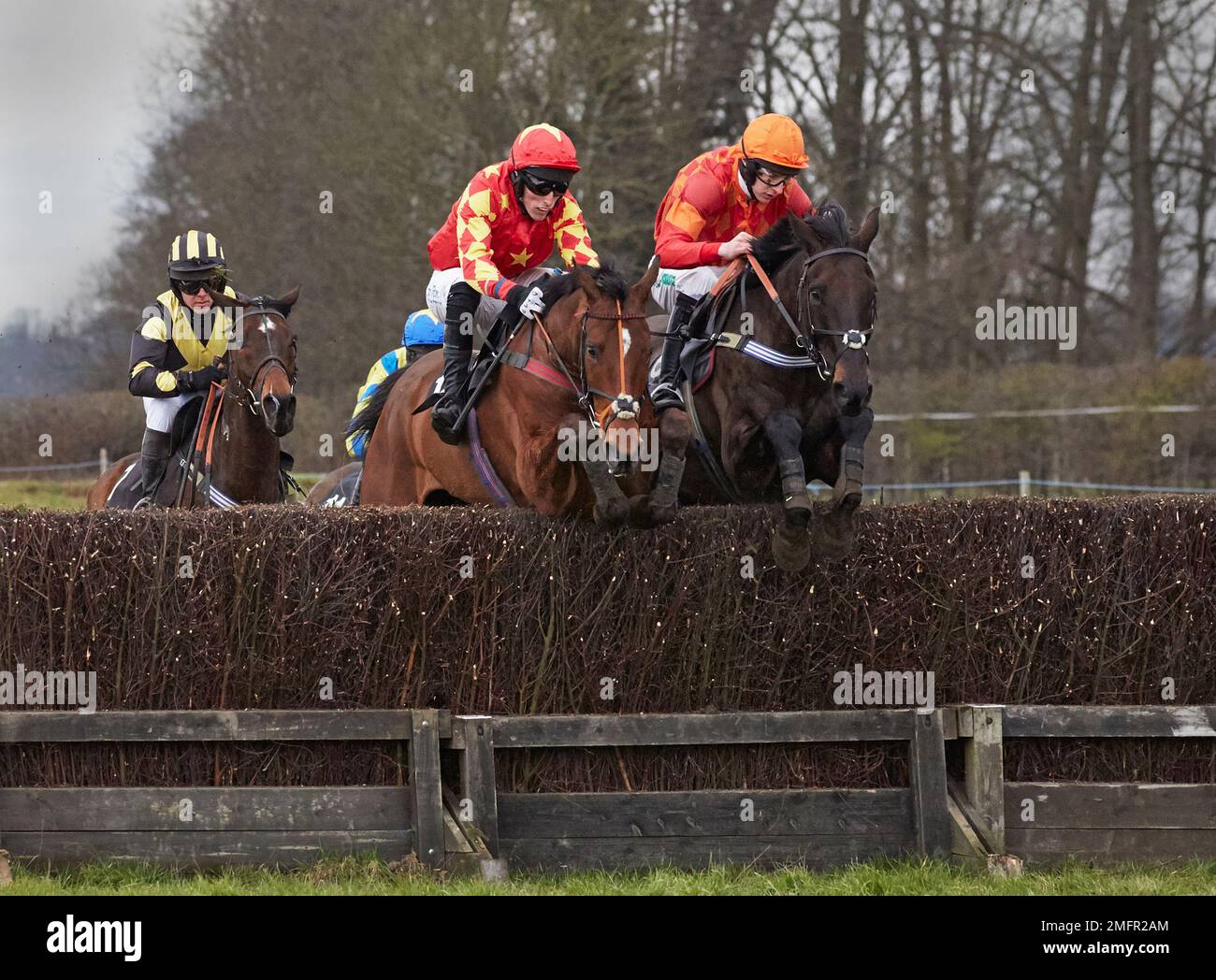 Godstone Surrey Point-to-Point horse race Stock Photo - Alamy