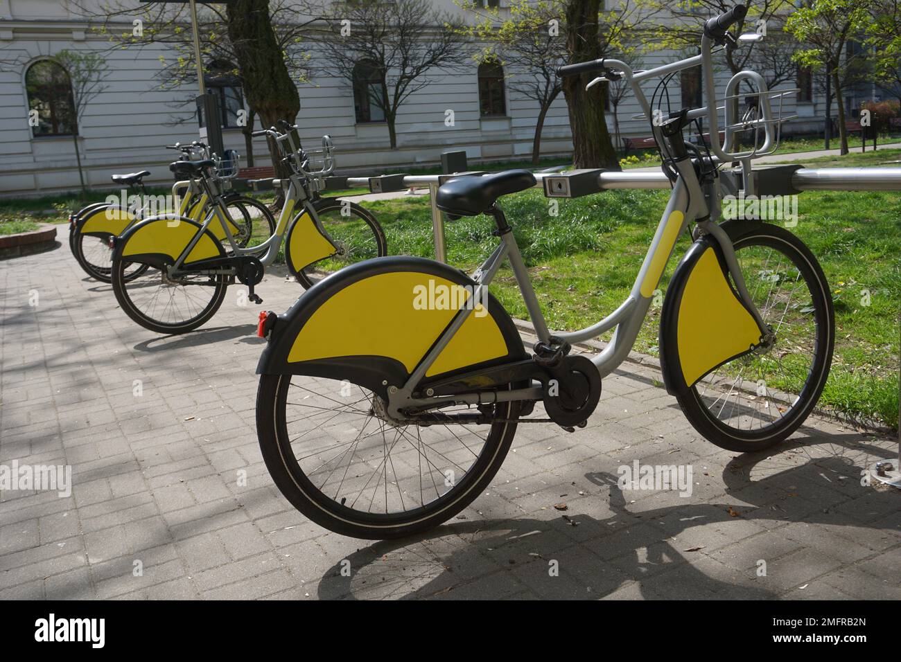 Yellow bikes standing in a row at city rental station Stock Photo - Alamy
