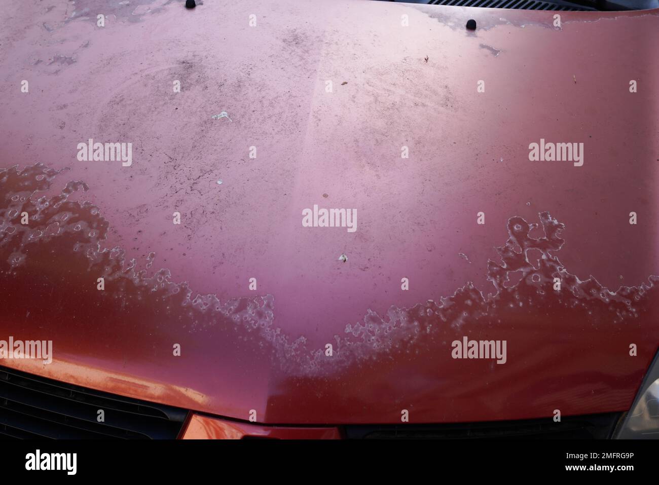 car red used peeling paint pink scratch on grunge hood faded old by sun ...