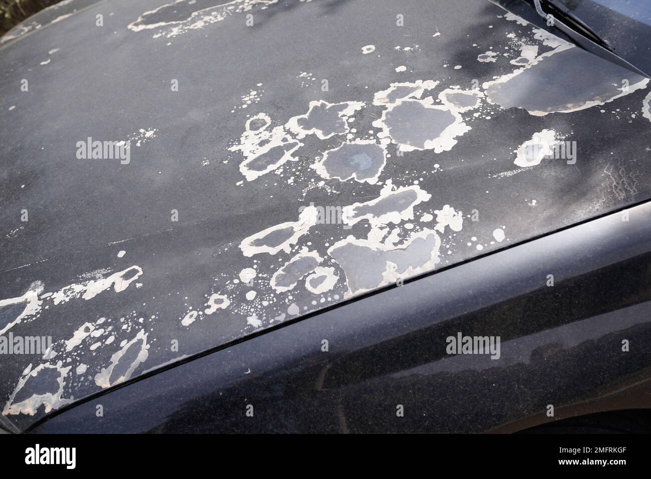 Cracked bonnet hi-res stock photography and images - Alamy