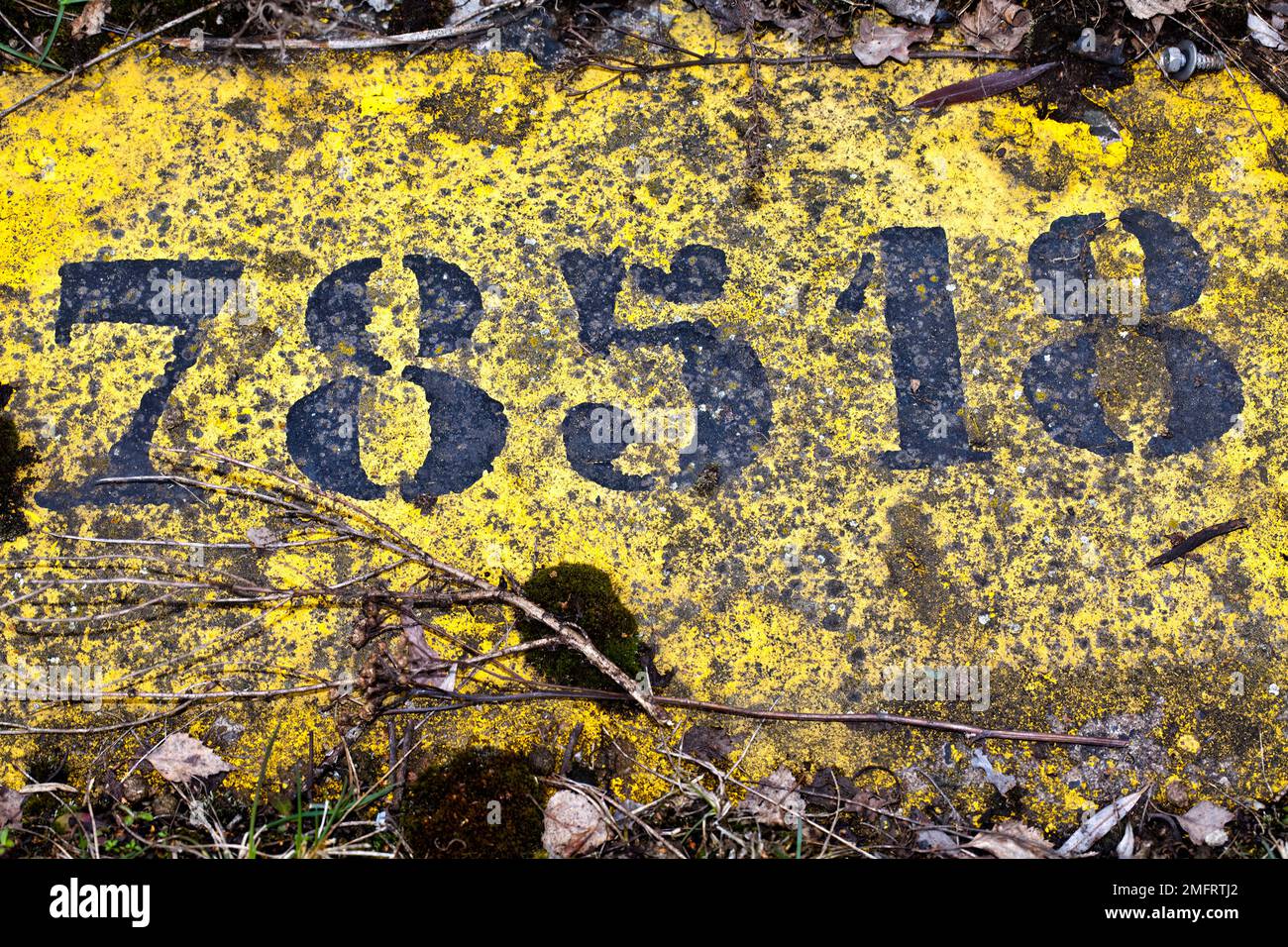 Military structures hi-res stock photography and images - Alamy