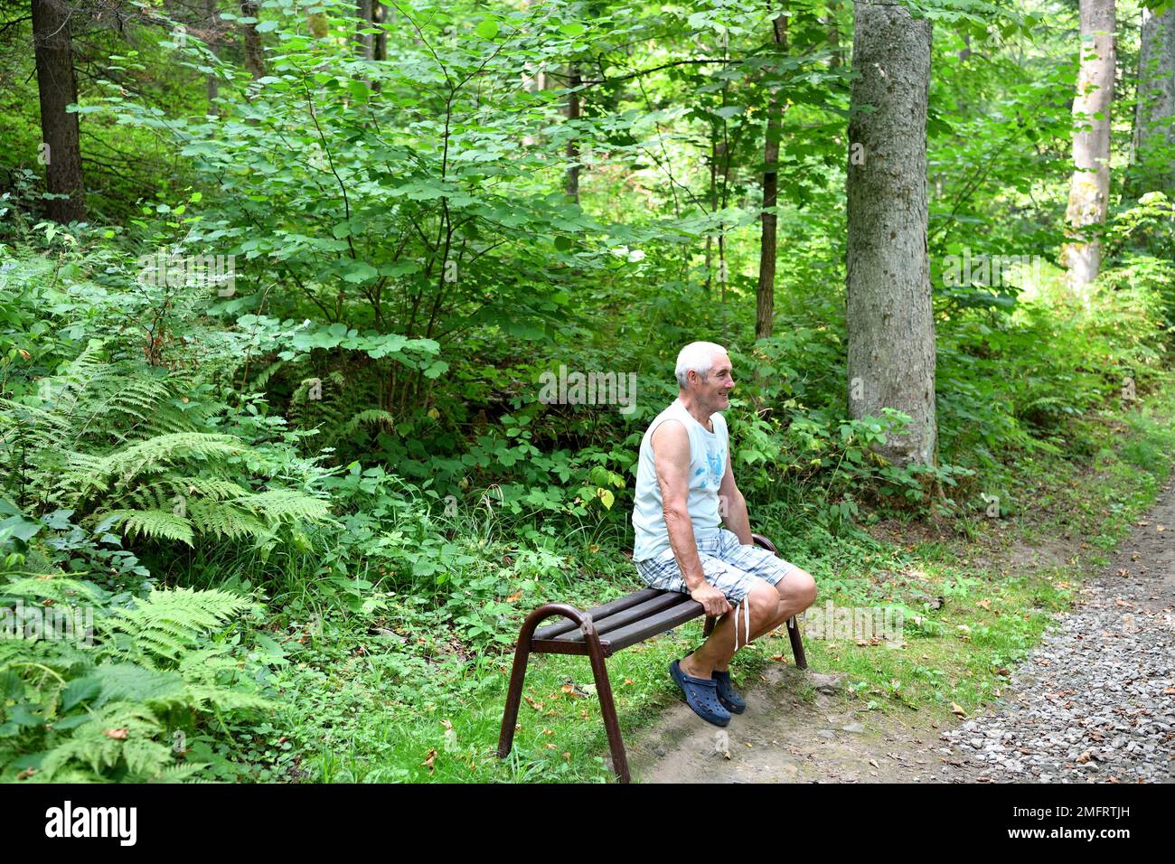 Old man is sitting and relaxing on a bench in a forest park during a ...