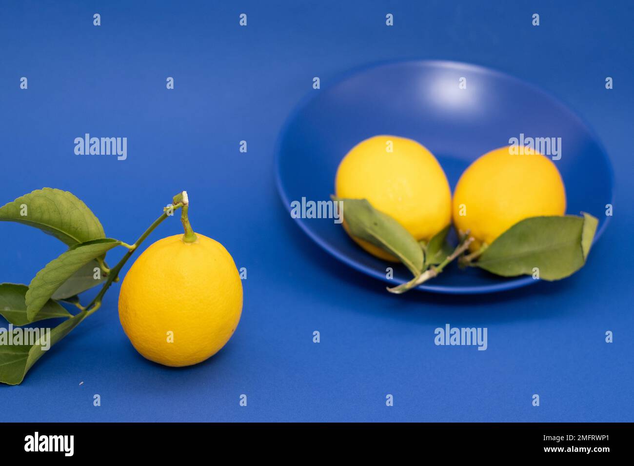 Multiple lemons hi-res stock photography and images - Alamy