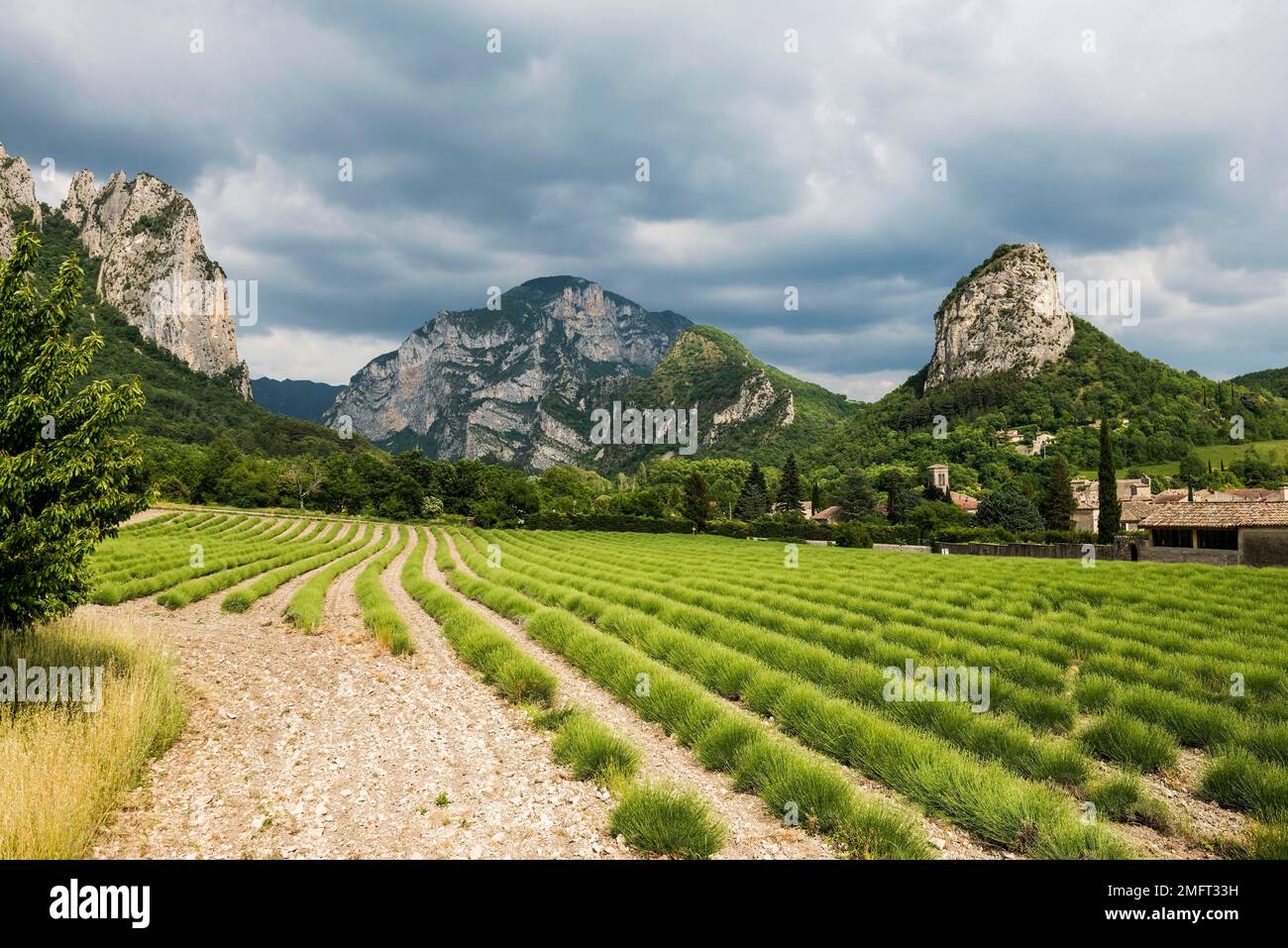 Medieval village with lavender field and rocks, Saou, Departement Drome ...