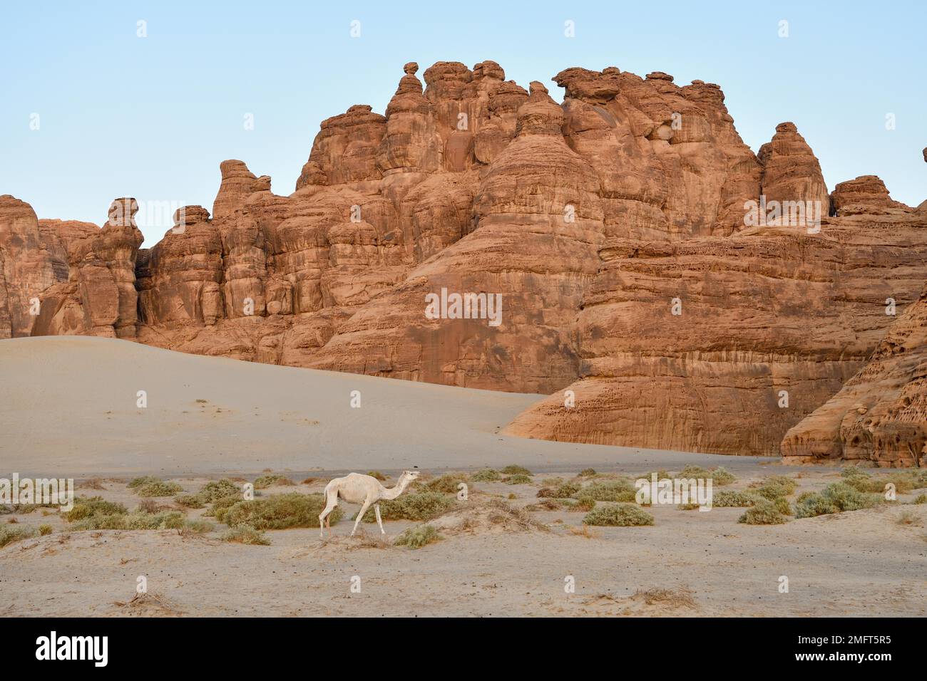 Arabian peninsula desert landscape hi-res stock photography and images ...