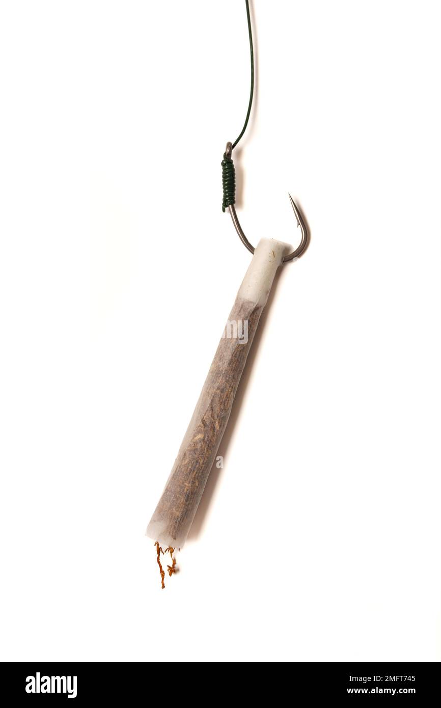 Marijuana cigarette hanging from a hook drug addiction concept close-up ...